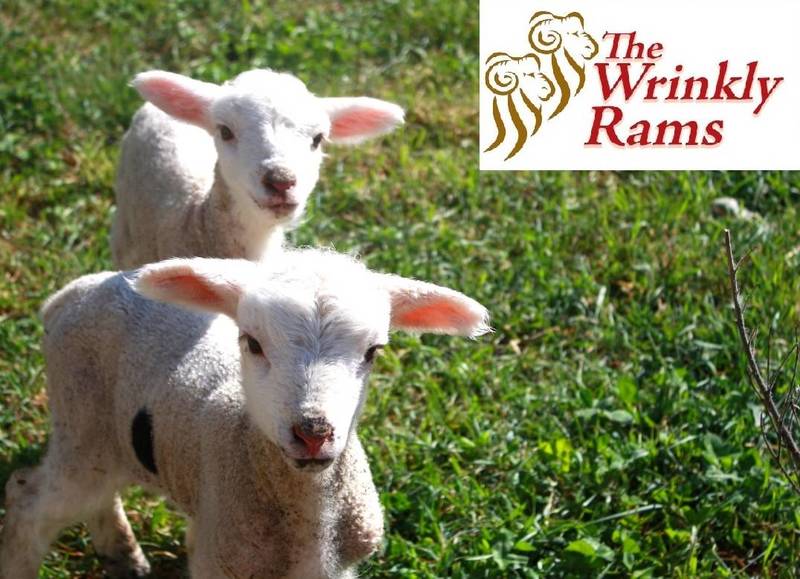 The Wrinkly Rams - Adventure Parks - PartiesAndCelebrations